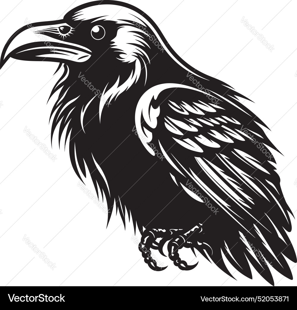 Mystic raven graphic skull eerie Royalty Free Vector Image
