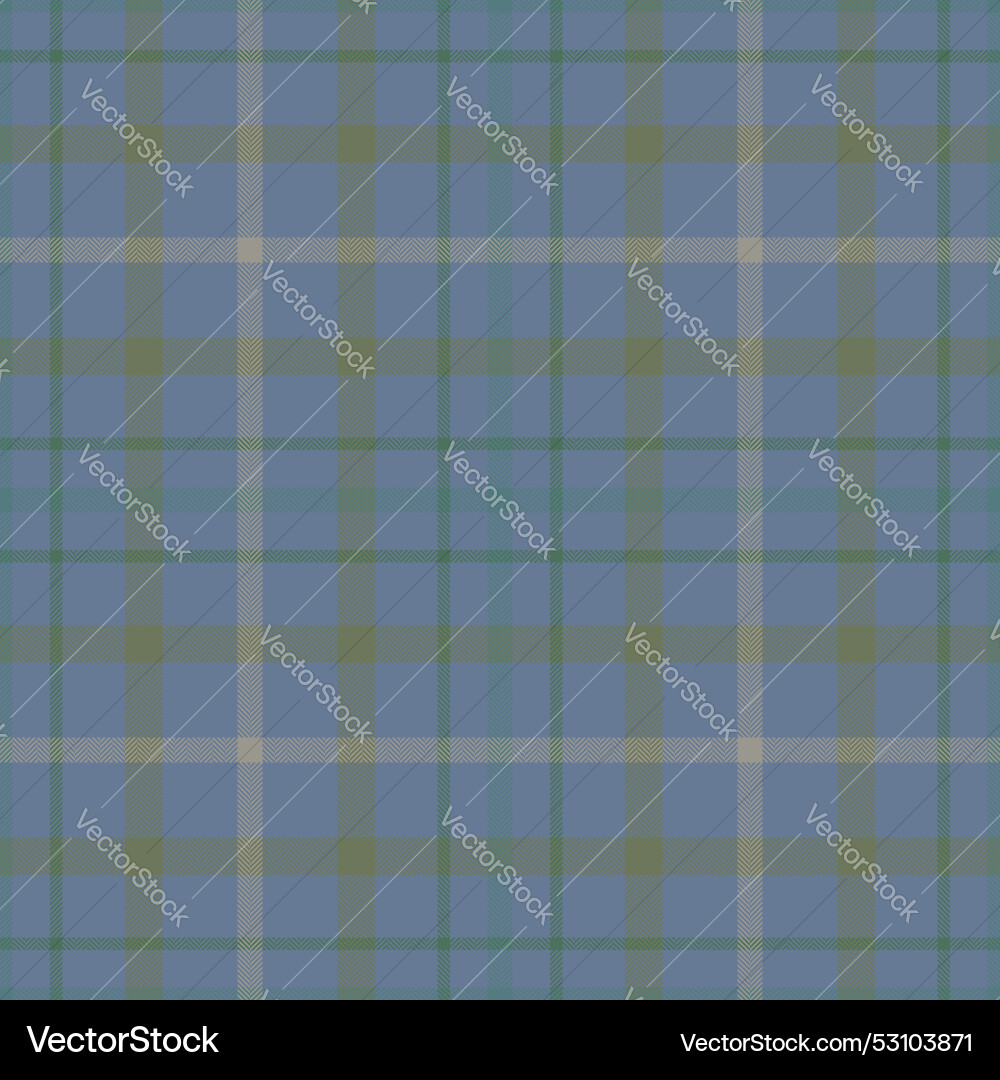 Plaid seamless pattern in blue check fabric Vector Image