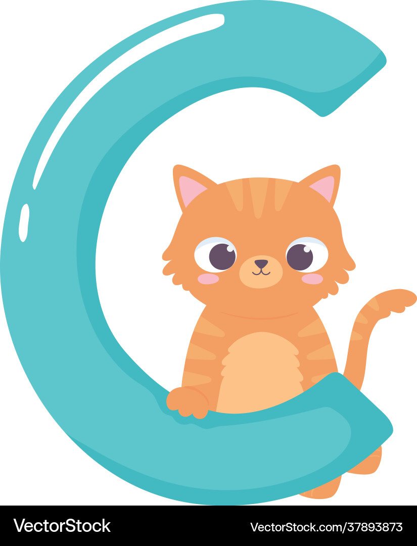 Cat animal alphabet Royalty Free Vector Image - VectorStock