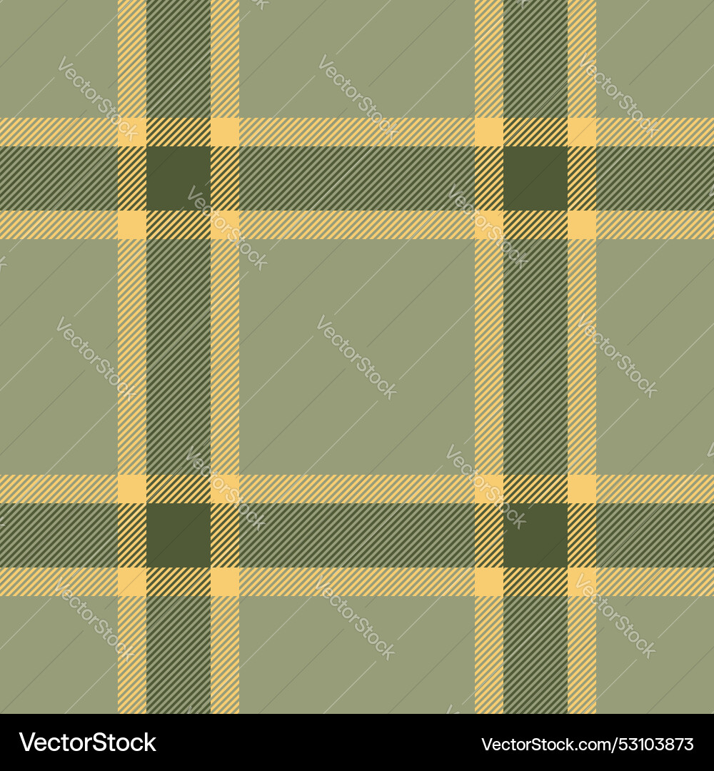 Plaid seamless pattern check fabric texture Vector Image