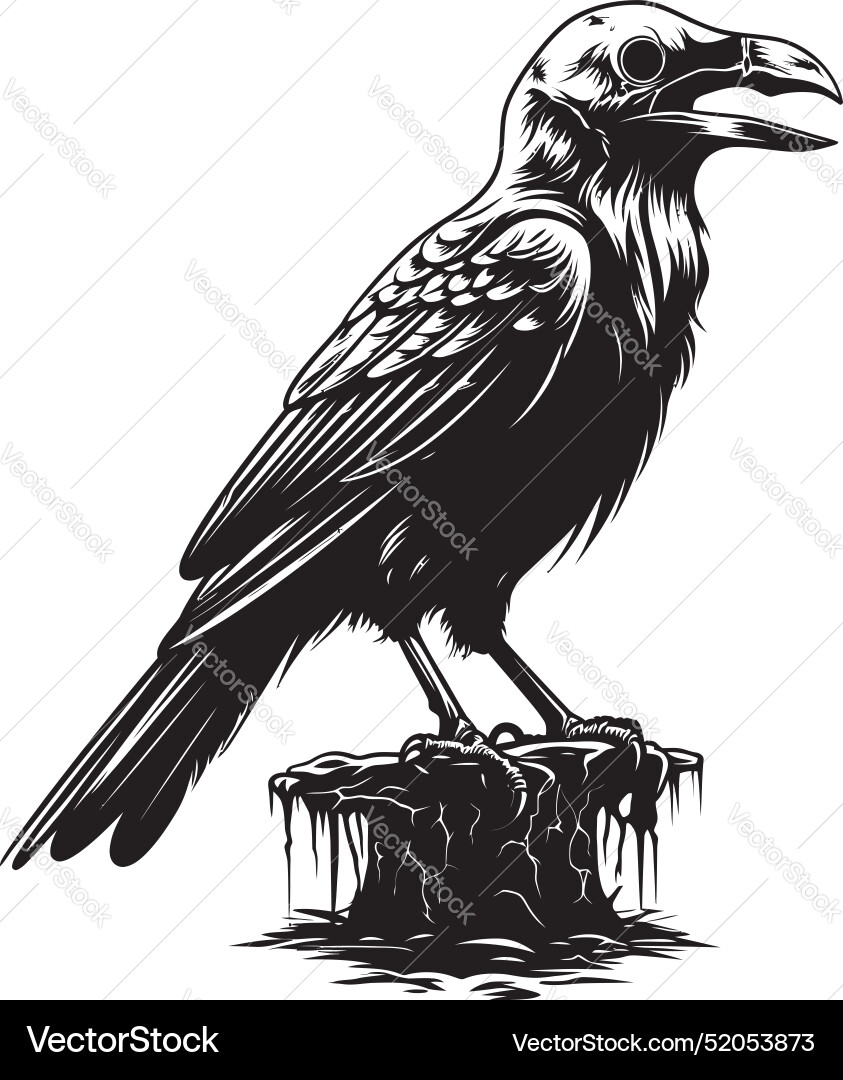 Shadowed raven icon skull design sinister Vector Image