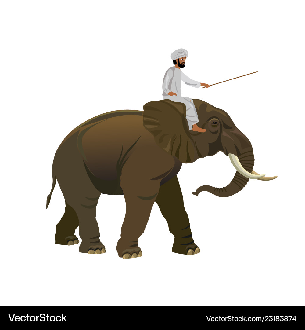 Man riding an elephant Royalty Free Vector Image
