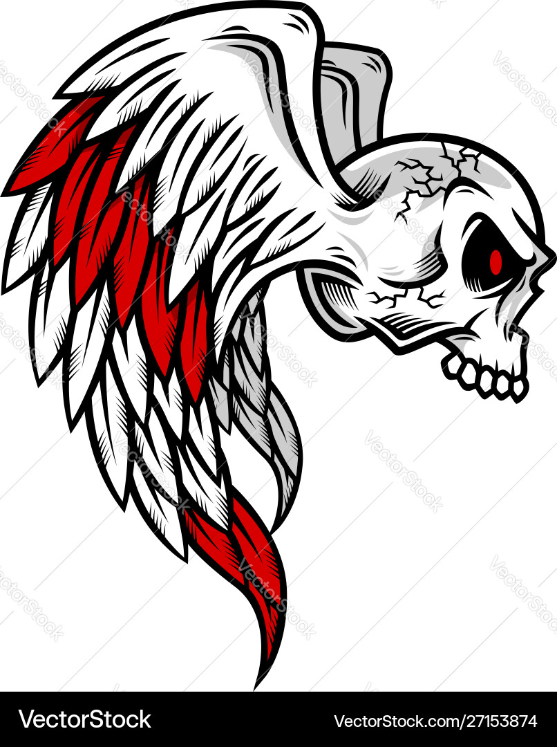 Skull logo icon or with wings skeleton Royalty Free Vector