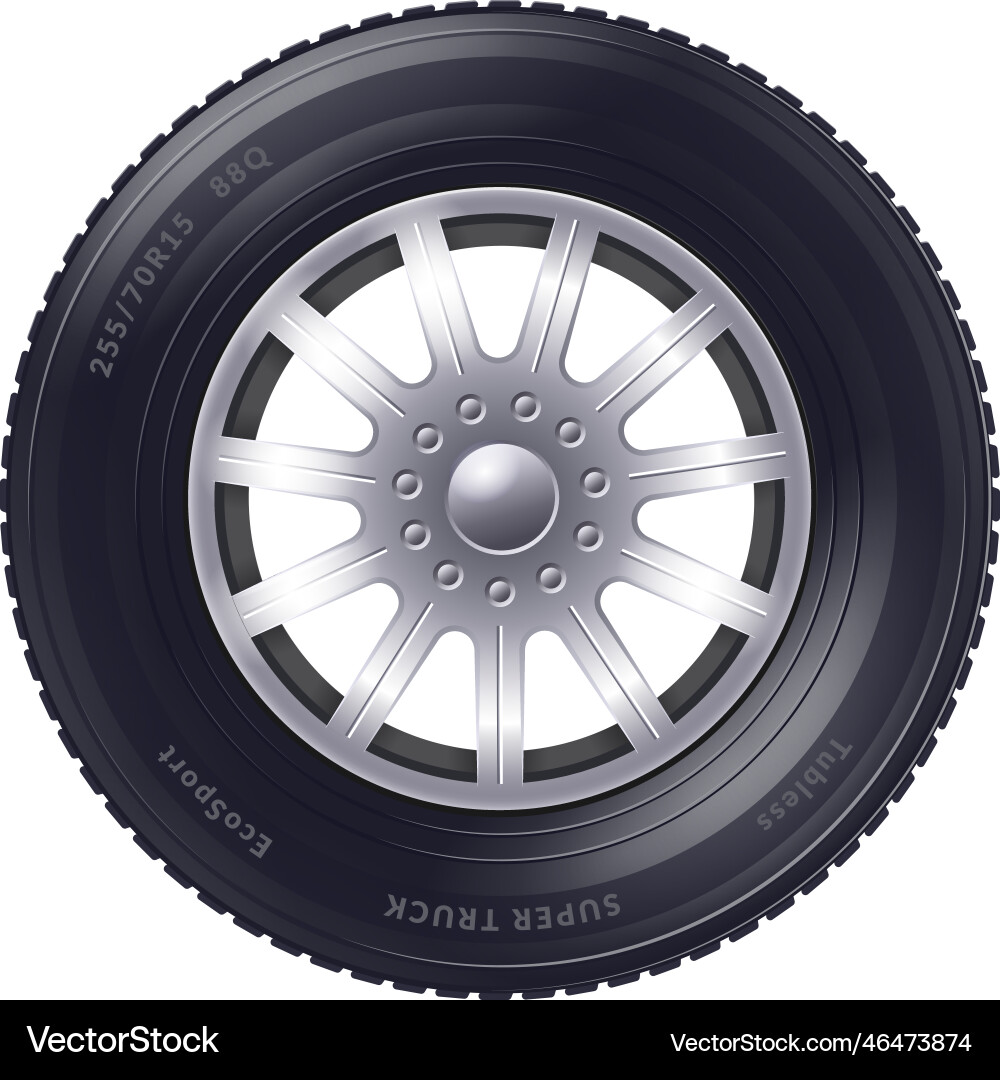 Wheel realistic Royalty Free Vector Image - VectorStock