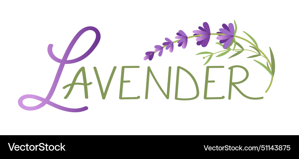 Hand drawn lavender flower logo design logo for Vector Image