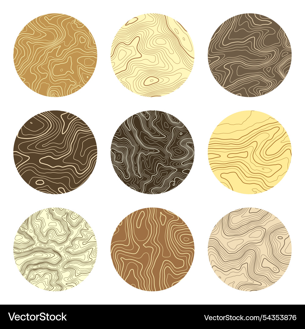 Colorful topographic map with contour lines Vector Image