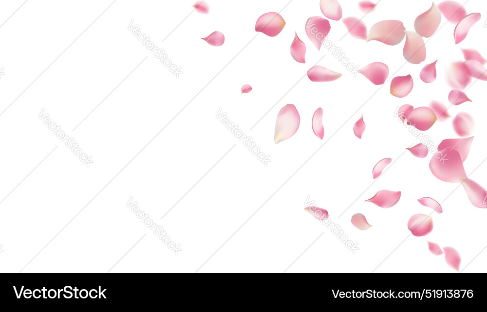Rose petals or sakura flying romantic Royalty Free Vector