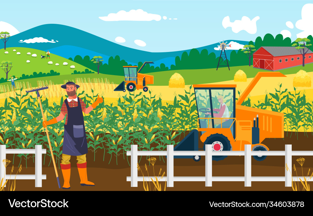 Agriculture crop farm field Royalty Free Vector Image