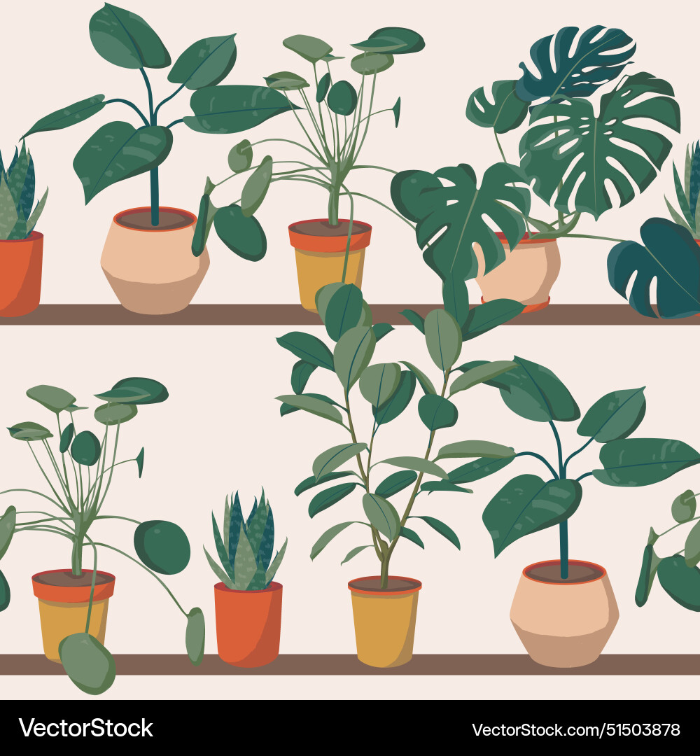 Pattern of different houseplants on shelf Vector Image