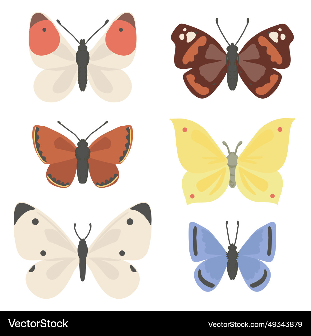 Drawing set of butterflies Royalty Free Vector Image