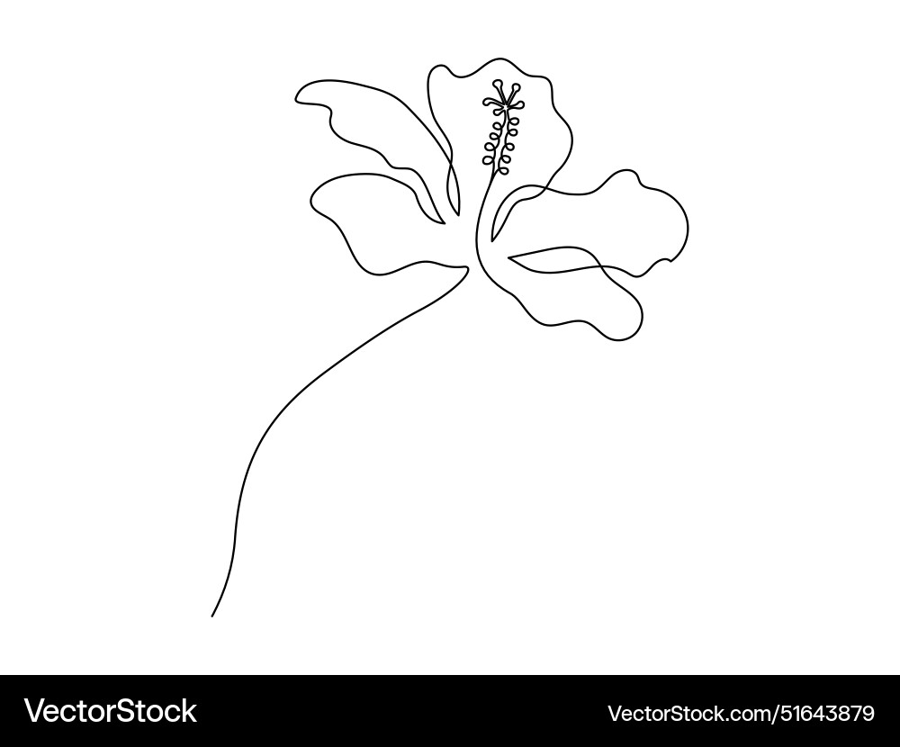 Hibiscus flower in one continuous line drawing Vector Image