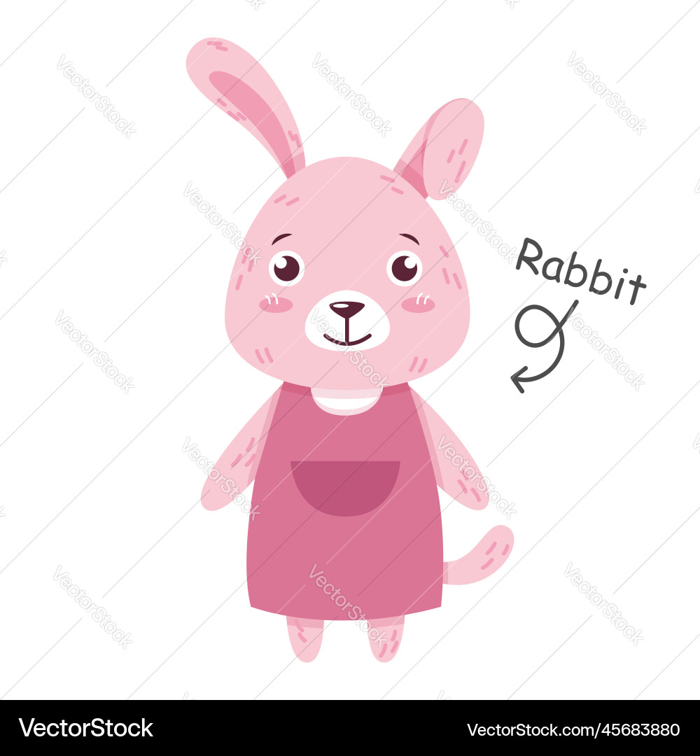 Rabbit cartoon characters with clothes Royalty Free Vector