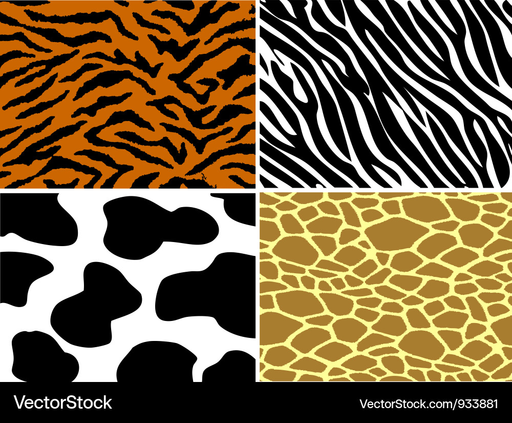 Animal Print Patterns Royalty Free Vector Image