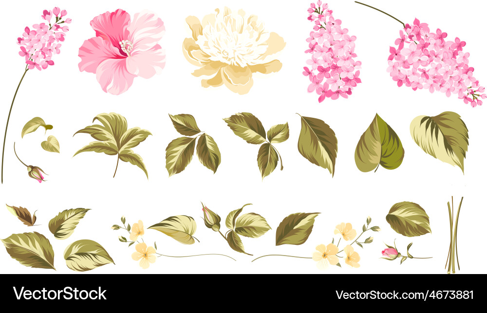 Elements of flower bouquets Royalty Free Vector Image