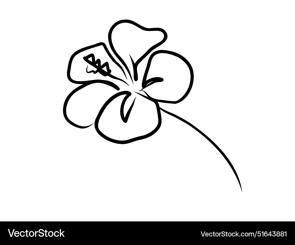 Hibiscus flower in one continuous line drawing Vector Image