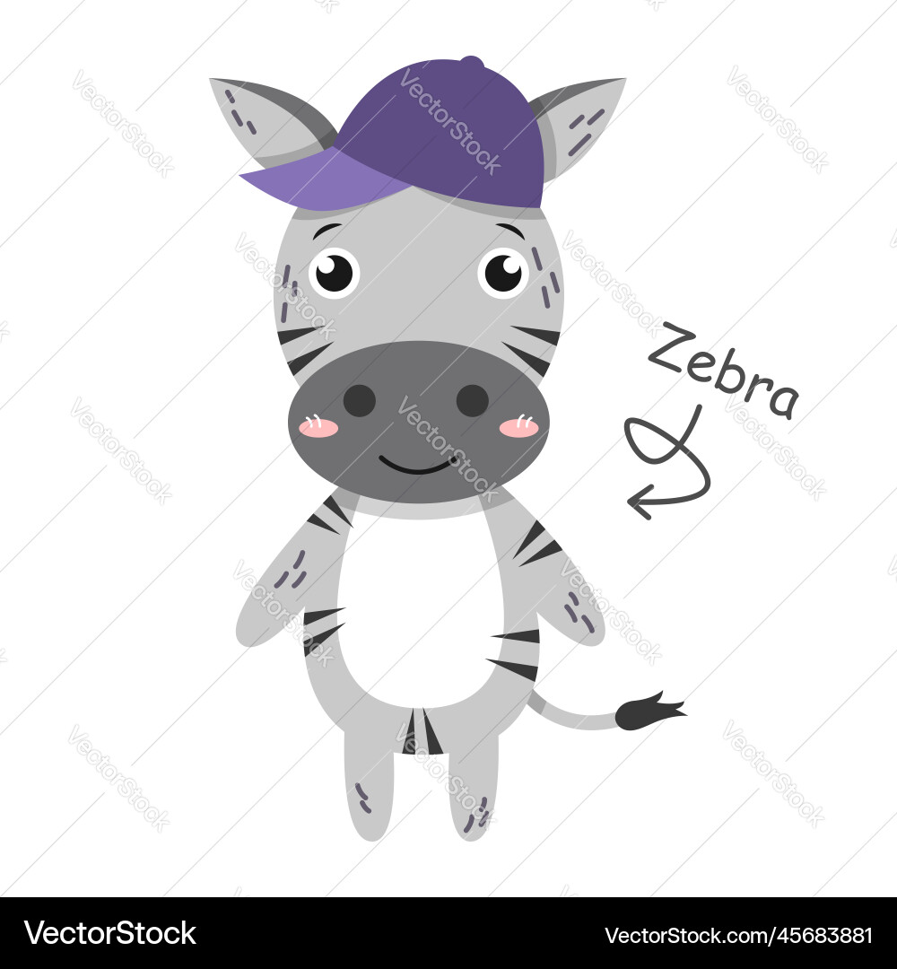 Zebra cartoon characters with clothes Royalty Free Vector