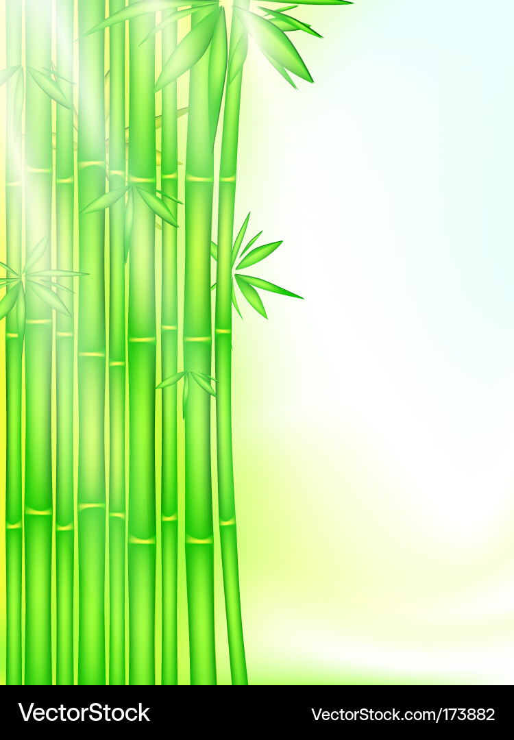 Bamboo forest Royalty Free Vector Image - VectorStock