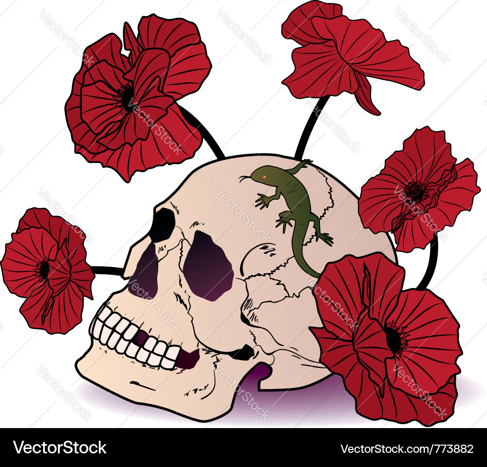 Skull lizard and poppies Royalty Free Vector Image