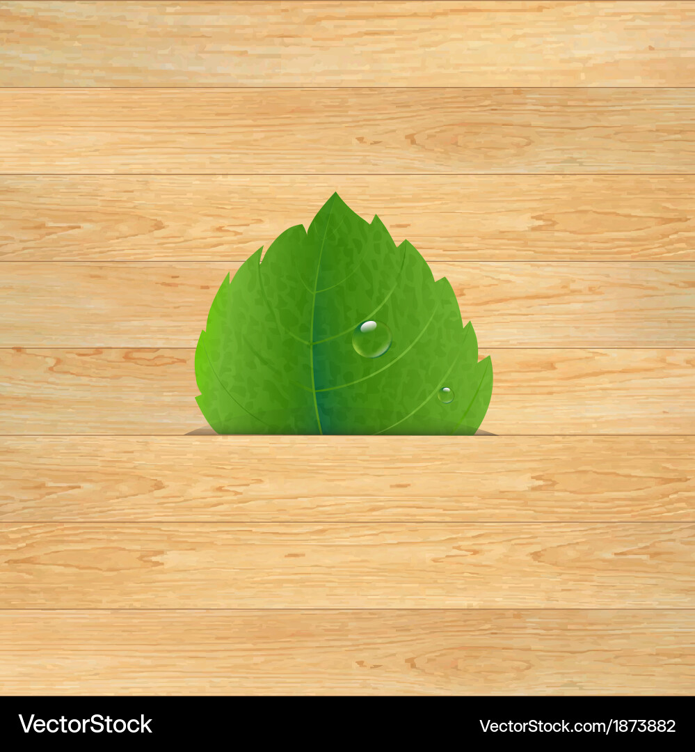Wood texture with leaf Royalty Free Vector Image