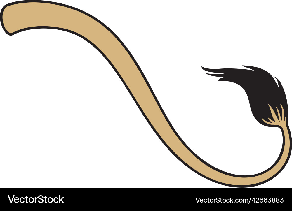 Lion tail color Royalty Free Vector Image - VectorStock