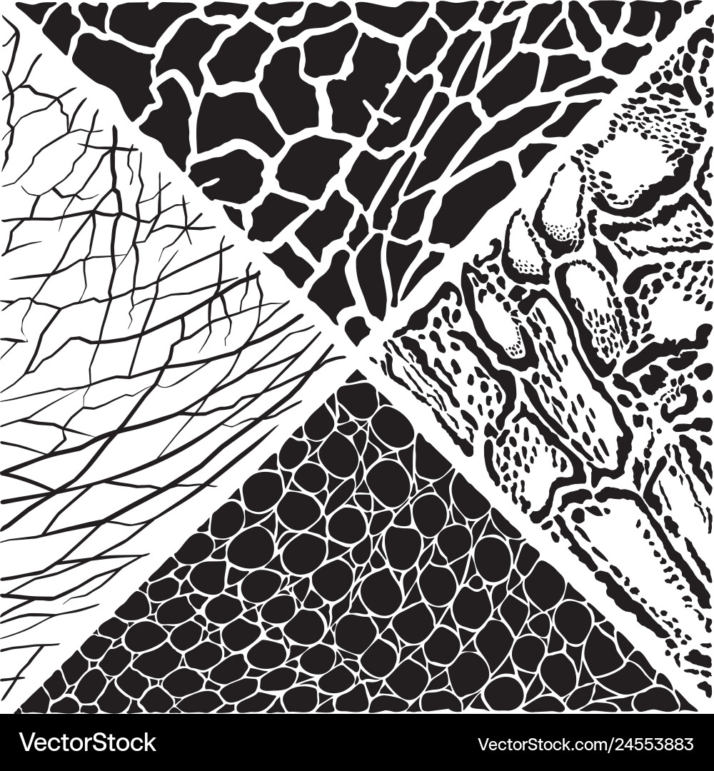 Wild animals pattern background Royalty Free Vector Image