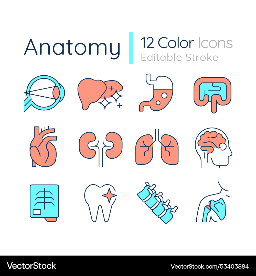 Anatomy rgb color icons set Royalty Free Vector Image