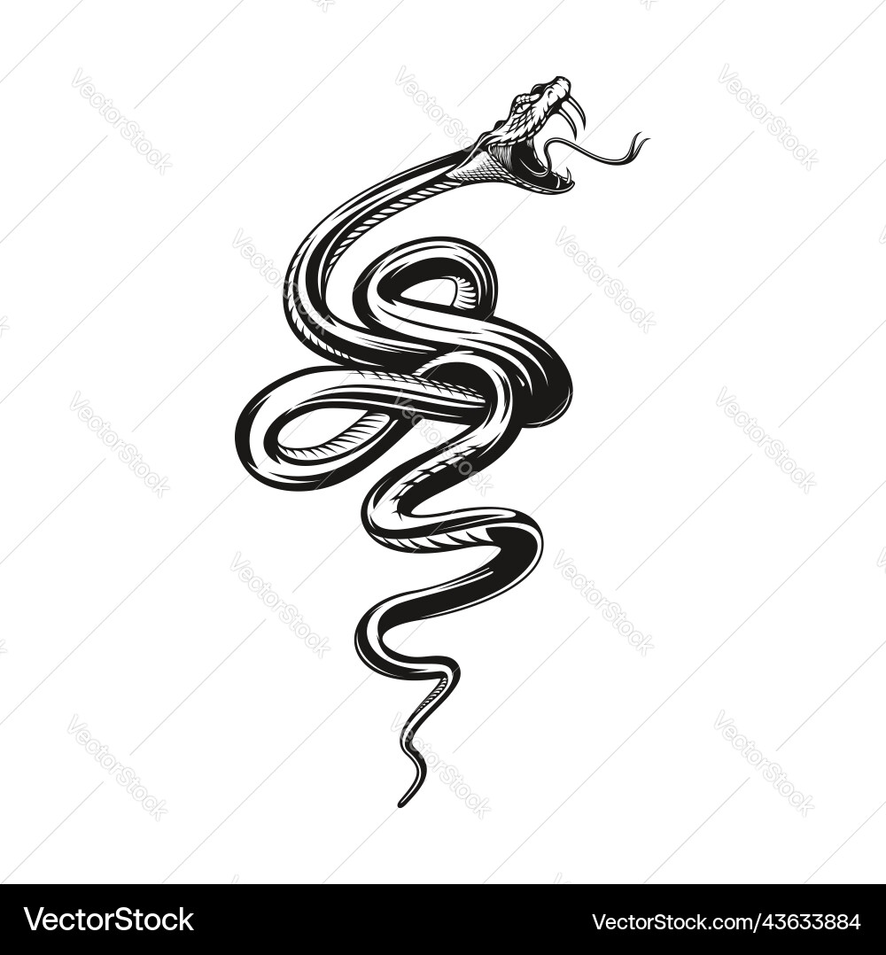 Snake tattoo angry black viper Royalty Free Vector Image