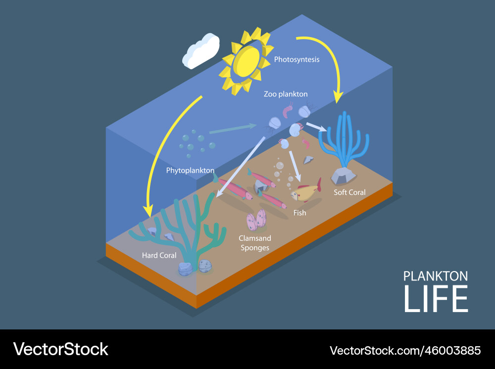 3d isometric flat conceptual Royalty Free Vector Image
