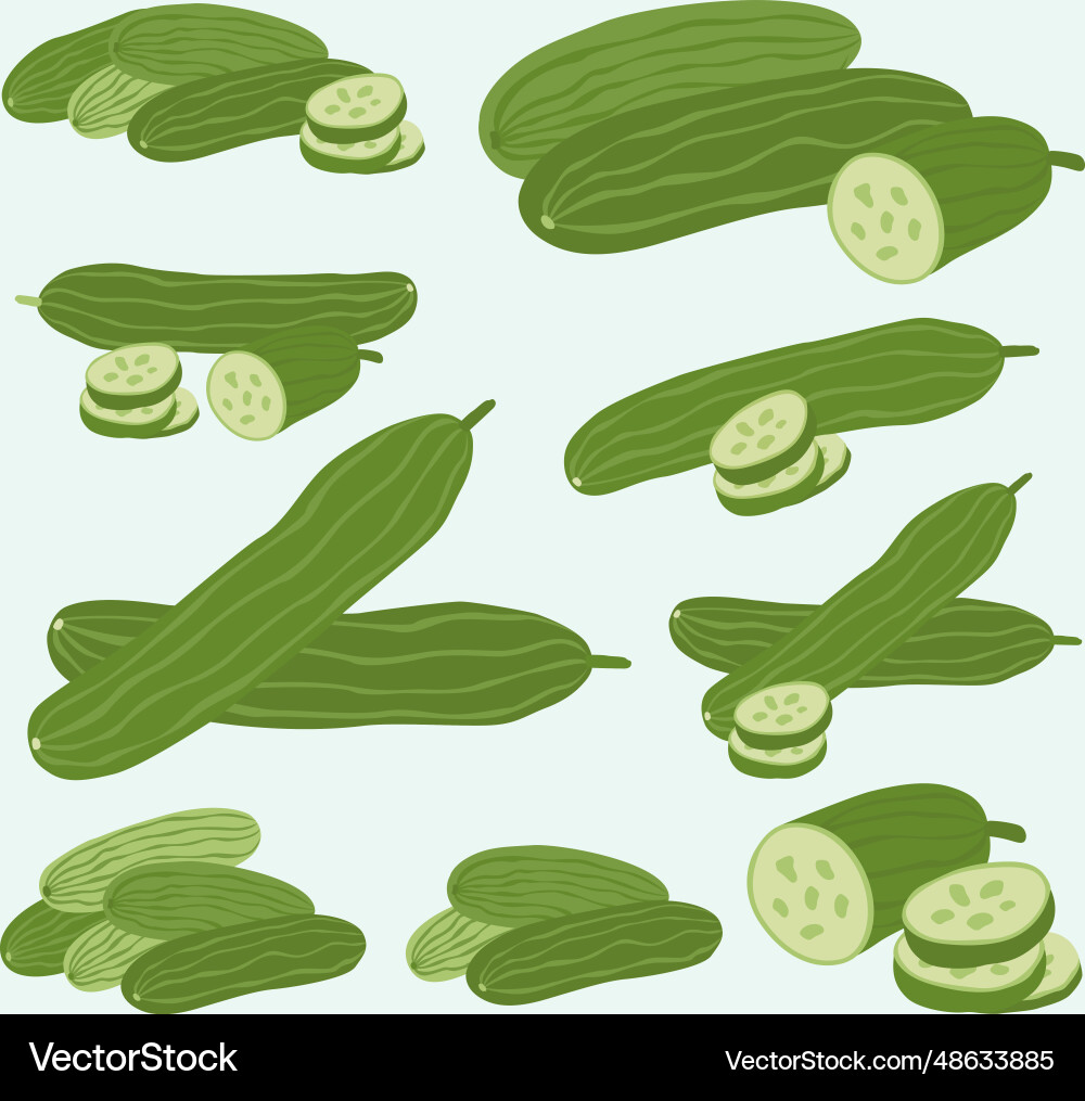 Green cucumber collection Royalty Free Vector Image