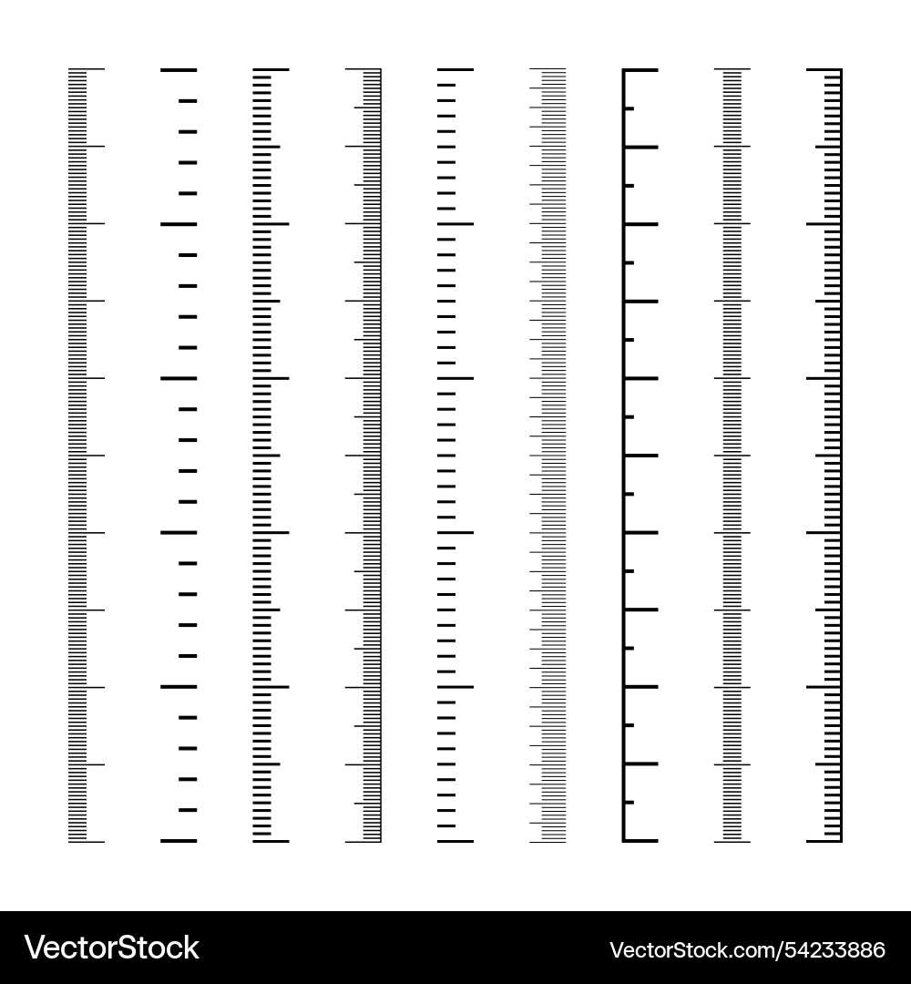 Vertical measurement scales with divisions Vector Image