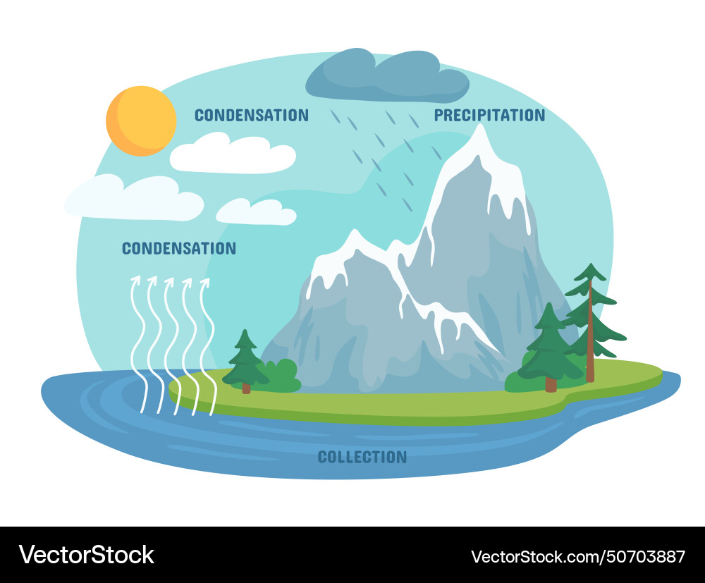 Rain infographics concept Royalty Free Vector Image
