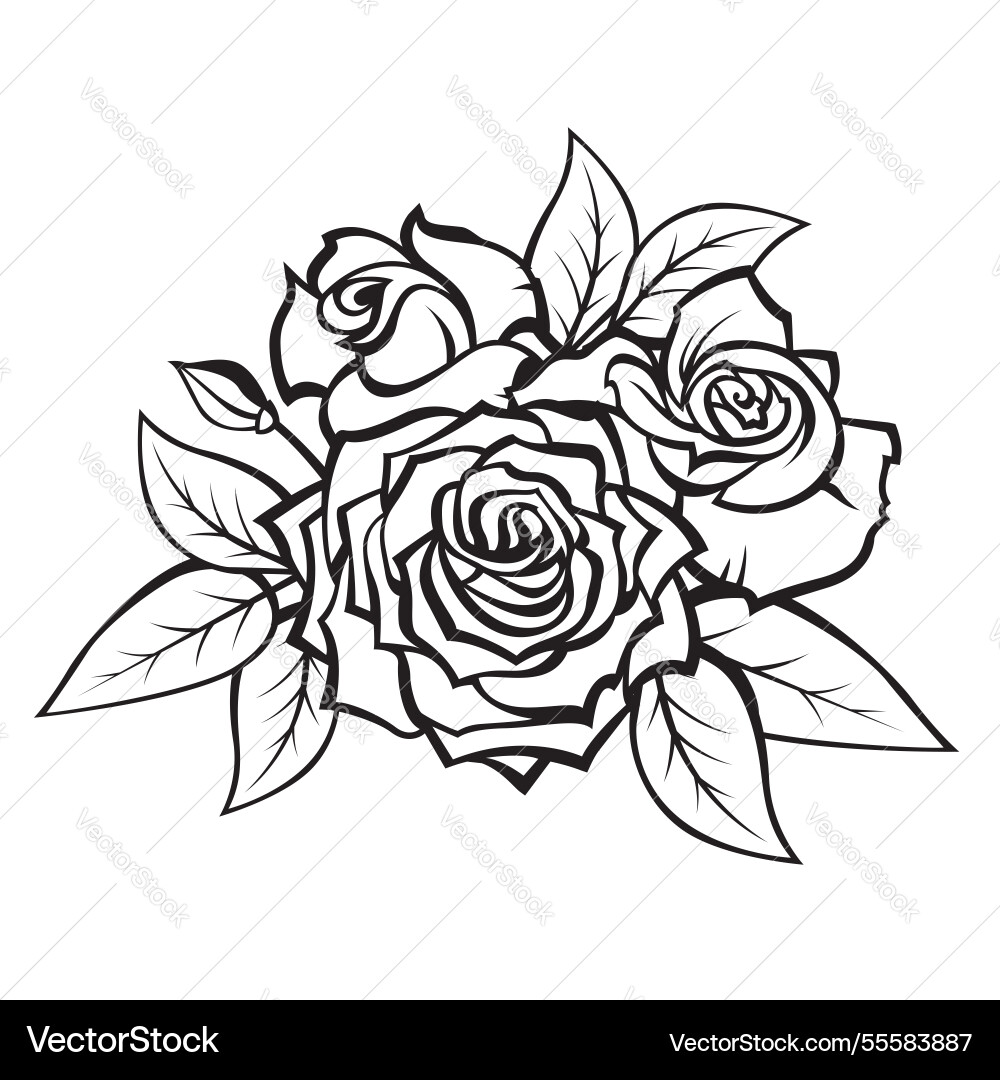 Rose bouquet Royalty Free Vector Image - VectorStock