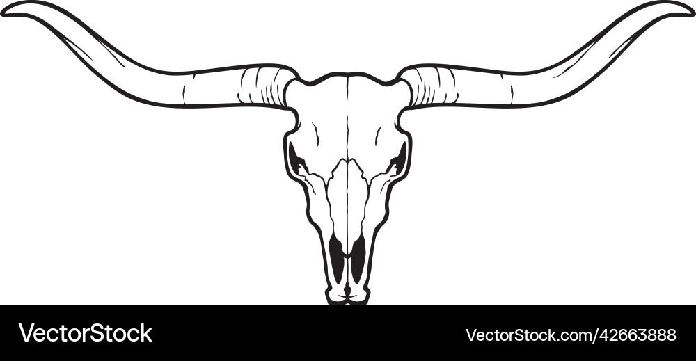 Longhorn Skull - Texas Icon Royalty Free Vector Image
