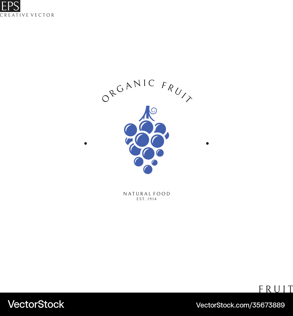 Bio Obst Logo Vorlage Lizenzfreies Vektorbild