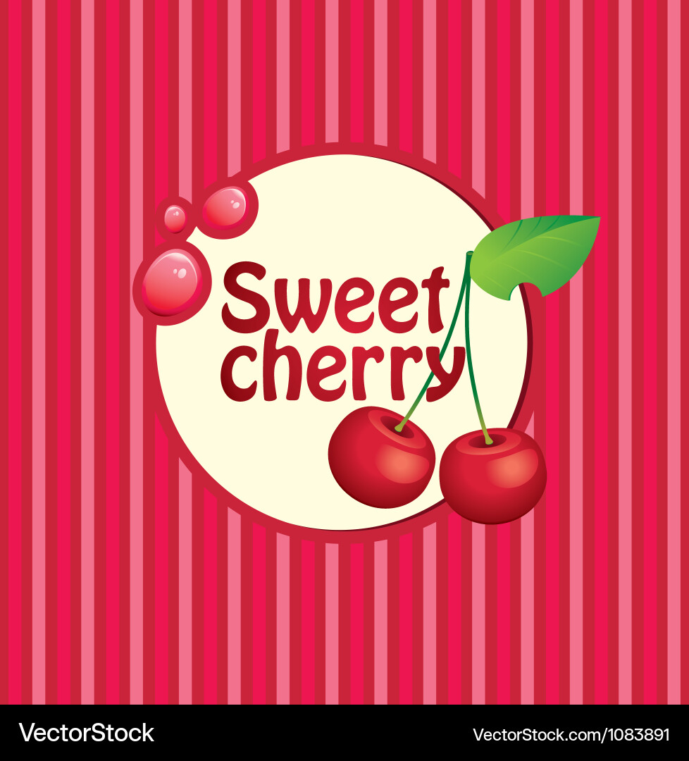 Sweet cherry Royalty Free Vector Image - VectorStock
