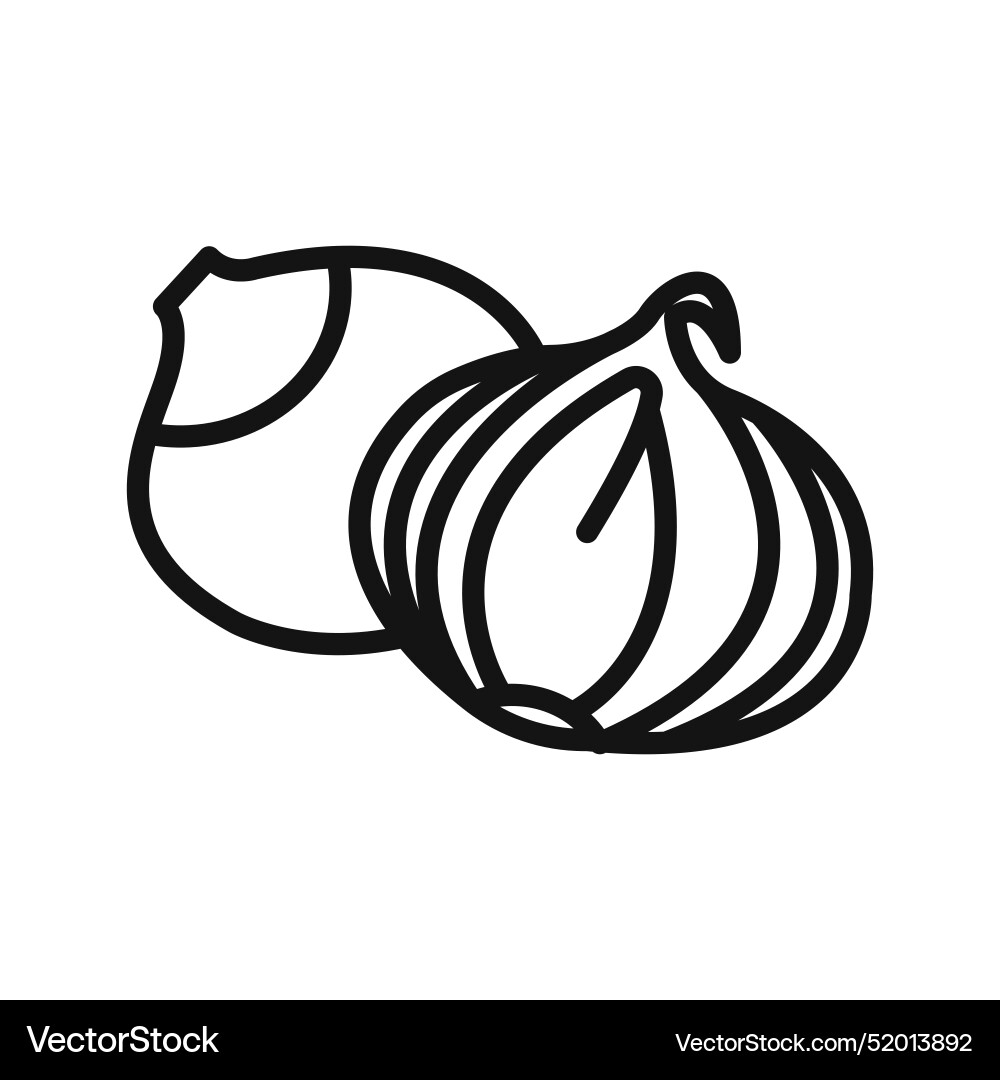 Shallots icon black line art Royalty Free Vector Image
