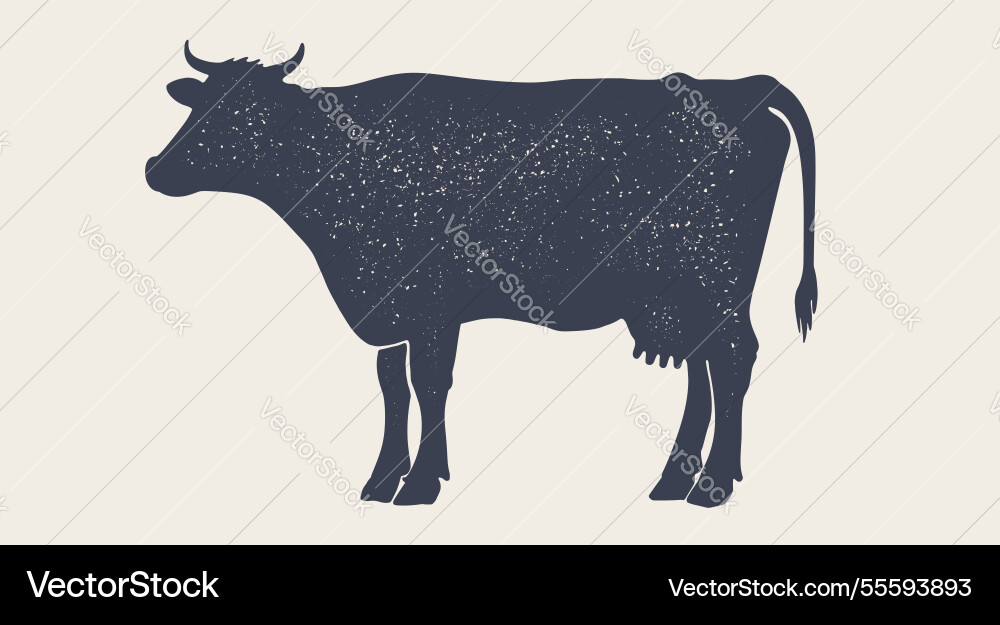 Cow milk beef vintage retro print Royalty Free Vector Image