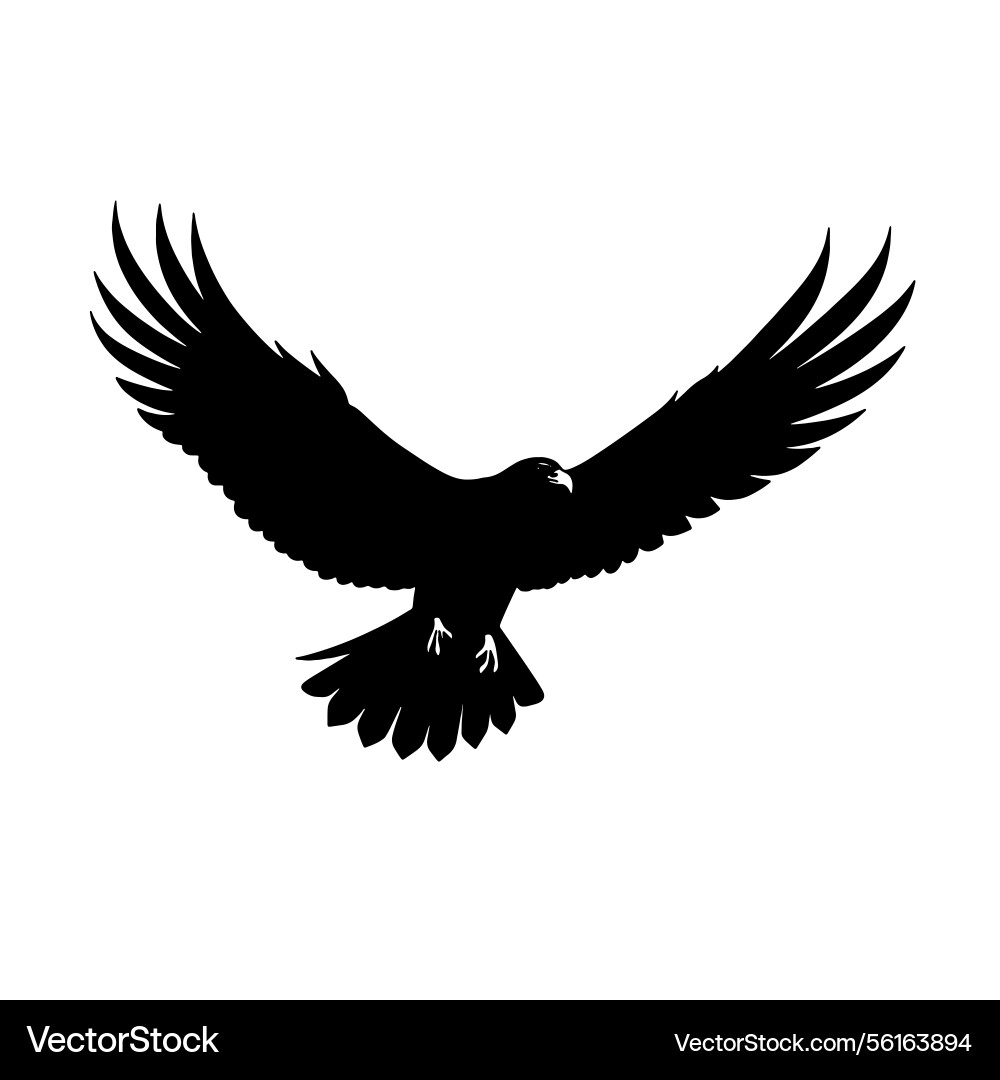 Bald eagle silhouette with open wings Royalty Free Vector