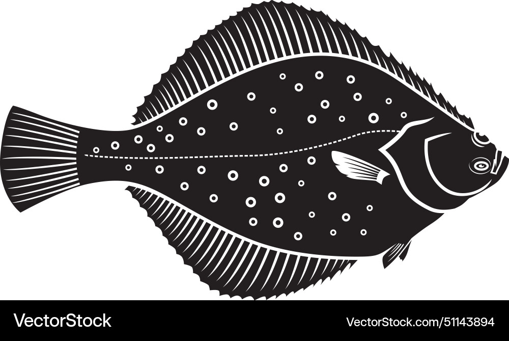 Flounder Royalty Free Vector Image - VectorStock