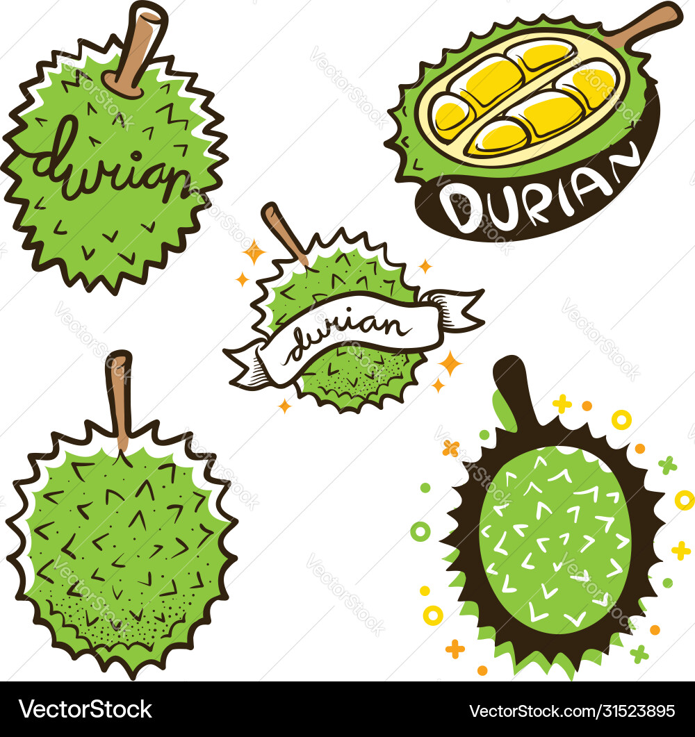 Durian label logo set Royalty Free Vector Image