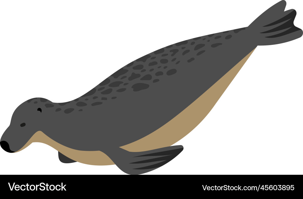 Seal isometric Royalty Free Vector Image - VectorStock