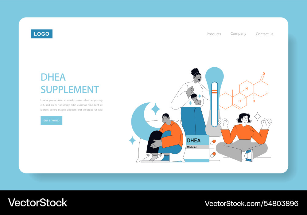 Dhea supplement flat Royalty Free Vector Image