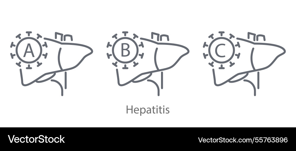 Hepatitis a b c Royalty Free Vector Image - VectorStock