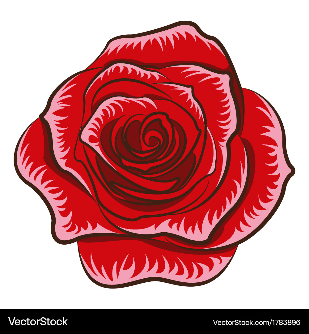 Rose Royalty Free Vector Image - VectorStock