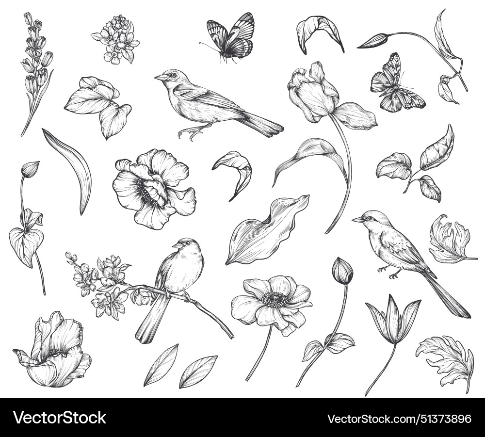Set of hand drawn spring garden flowers and Vector Image