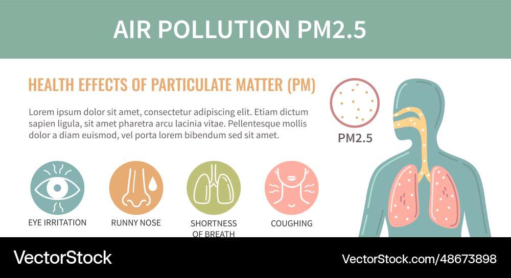 Particulate Matter Pollution Infographics Vector Image