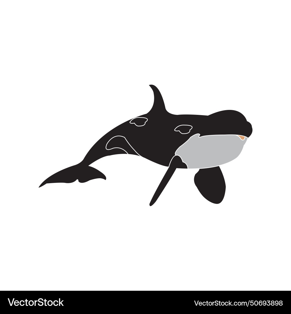 Whale icon Royalty Free Vector Image - VectorStock