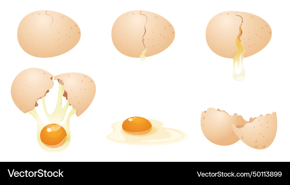 Breaking egg for cooking set 3d realistic Vector Image