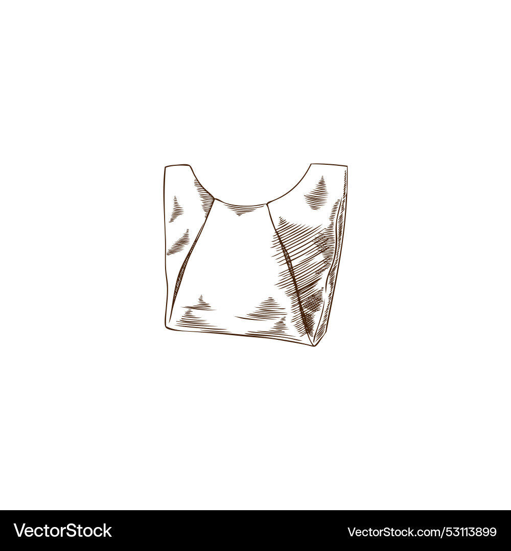 Open empty paper bag for chips and snacks Vector Image