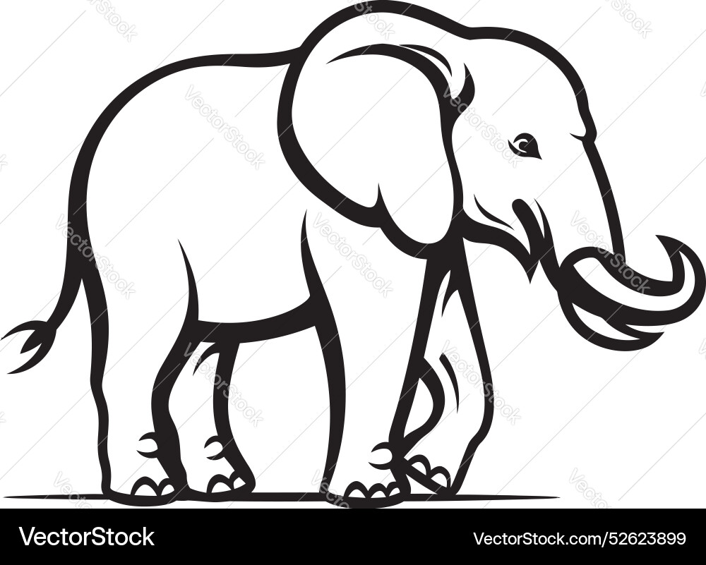Spiritual tusker graphics reflecting Royalty Free Vector
